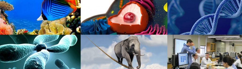 Home - Life Sciences